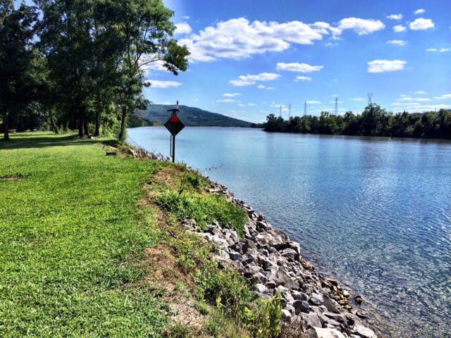 Bryant | Bama Politics